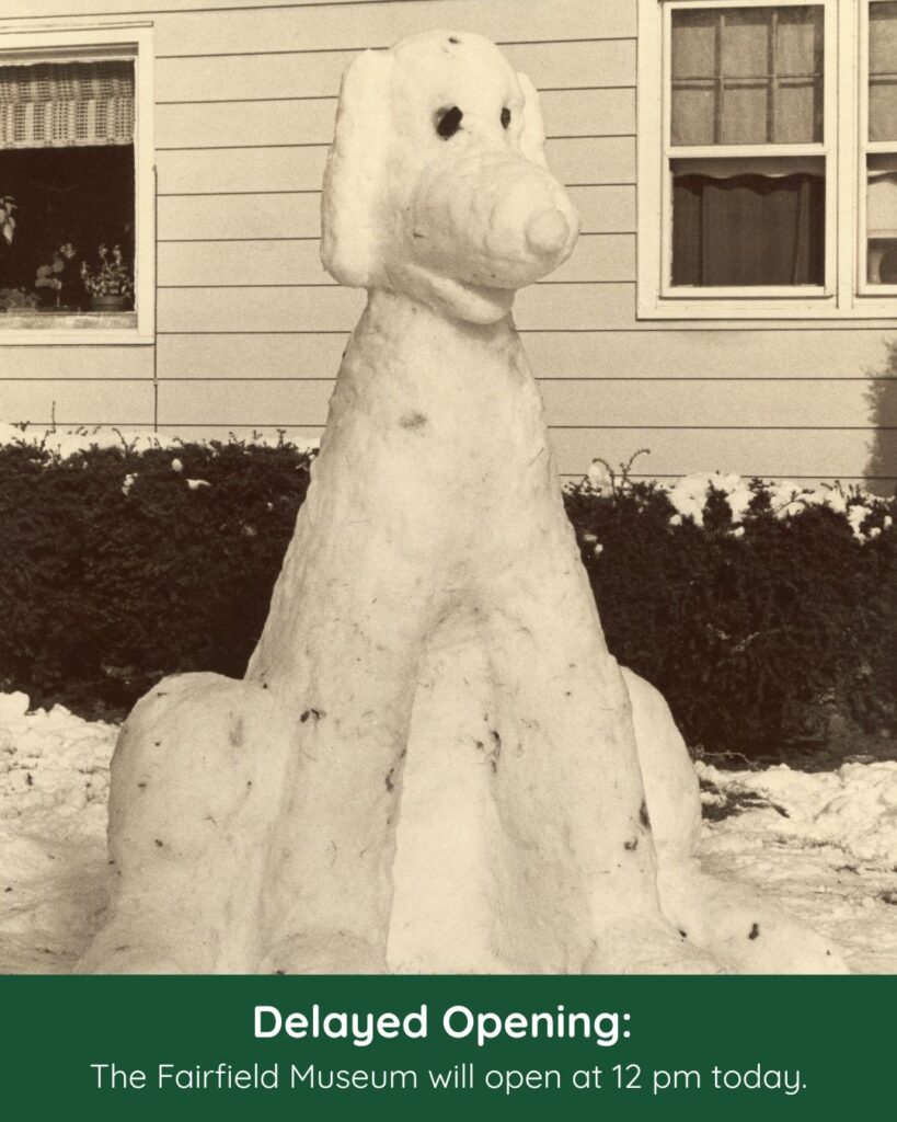 Delayed Opening (12 pm - 4 pm) | Fairfield Museum and History Center